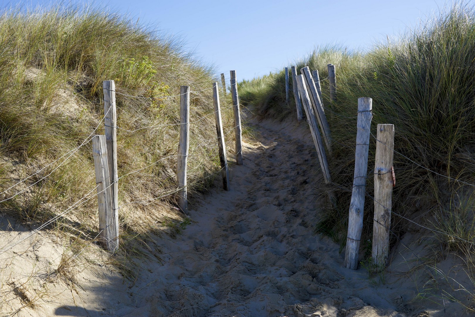 Le littoral de l’île de Ré – CdC Île de Ré