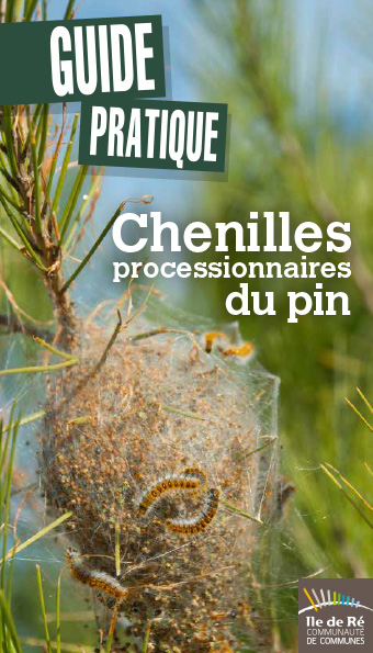 Guide pratique – Chenille processionnaire du pin – CdC Île de Ré