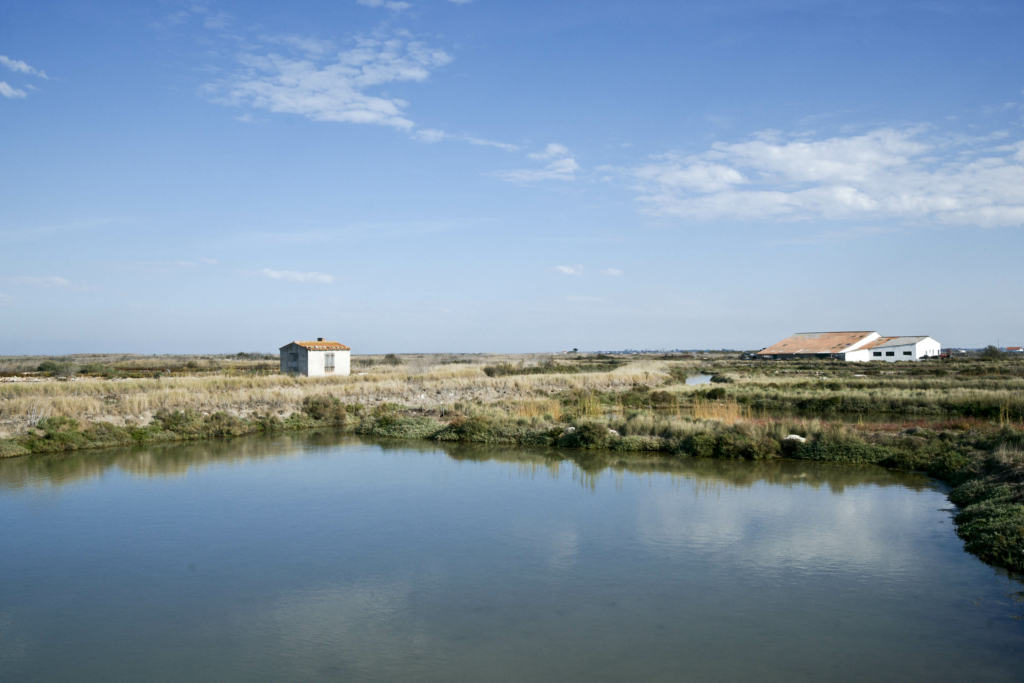 Aquarelle à Loix : paysage à l’eau – CdC Île de Ré